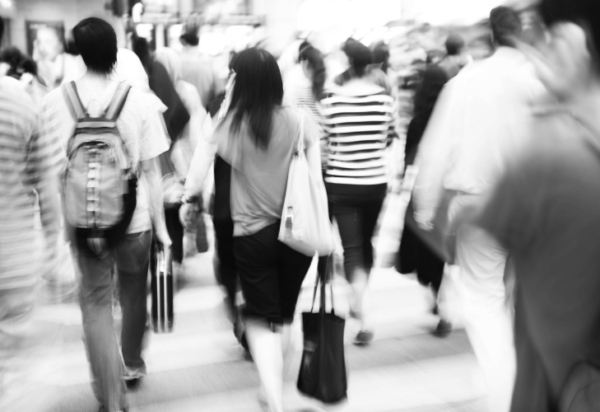 bLoyal Loyalty Software - bLoyal